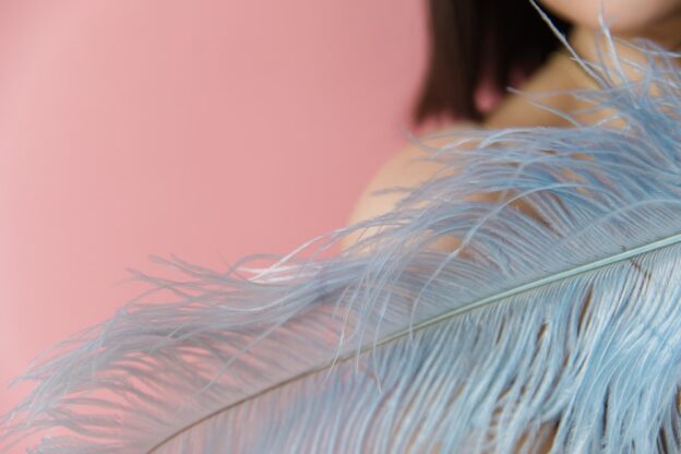 La signification des plumes selon leur couleur